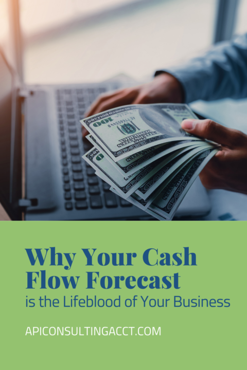 Why Your Cash Flow Forecast is the Lifeblood of Your Business | API ...